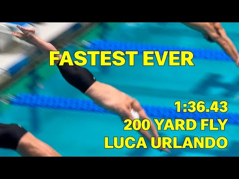 Luca Urlando 1:36.43 200 Fly Record in 4k | 2025 NCAA Championships