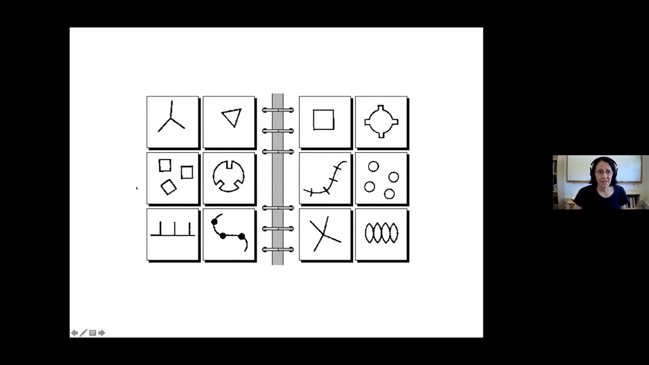 Abstraction & analogy in AI | Dr Melanie Mitchell | Preprogrammed: Innateness in Neuroscience and AI