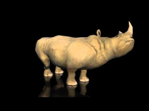 PROTOFACTOR - RHINOCEROS - iClone/Actor - Reallusion Content Store