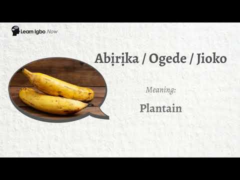 How to say Plantain in Igbo language - Abịrịka / Jioko / Ogede | Igbo Dictionary