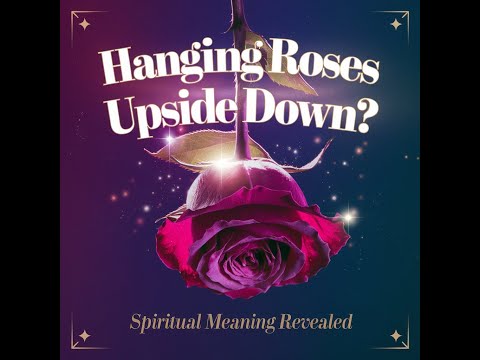 Hanging Roses Upside Down Spiritual Meaning: Understanding Its Deeper Symbolism