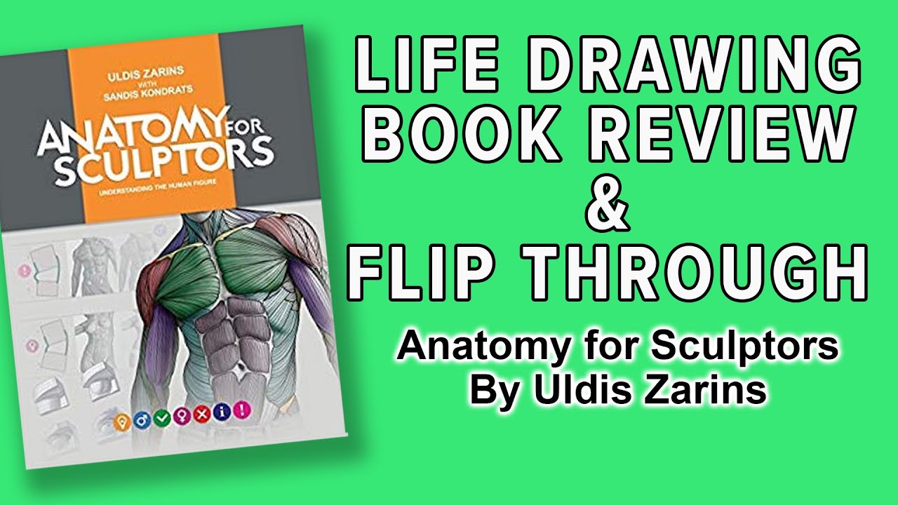 Anatomy for Sculptors Book by Uldis Zarins Review and Flip Through