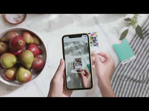 Pantone Connect - Capture, Curate, Collaborate