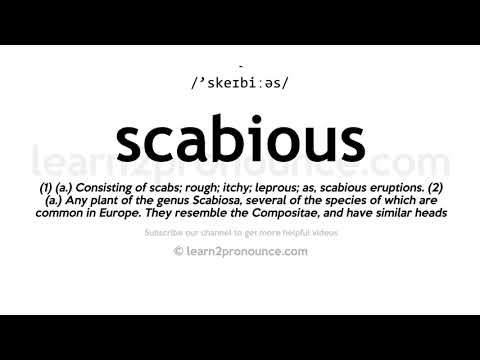 How to pronounce Scabious | English pronunciation