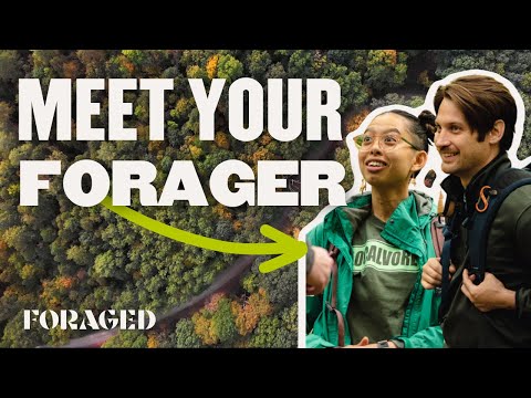 Meet Your Forager | Mushbloom Gardens