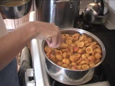 Canning Apricots Part 1