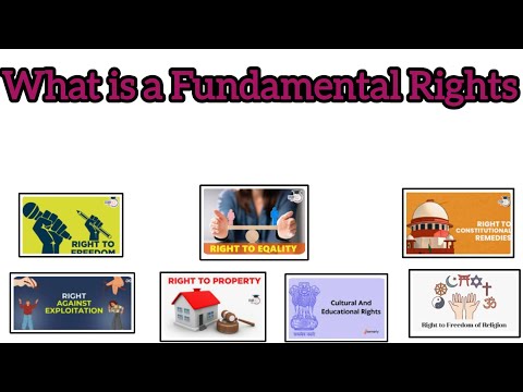 what is a fundamental Rights||Definition||Explanation||@Nehakashyap-ws1fp