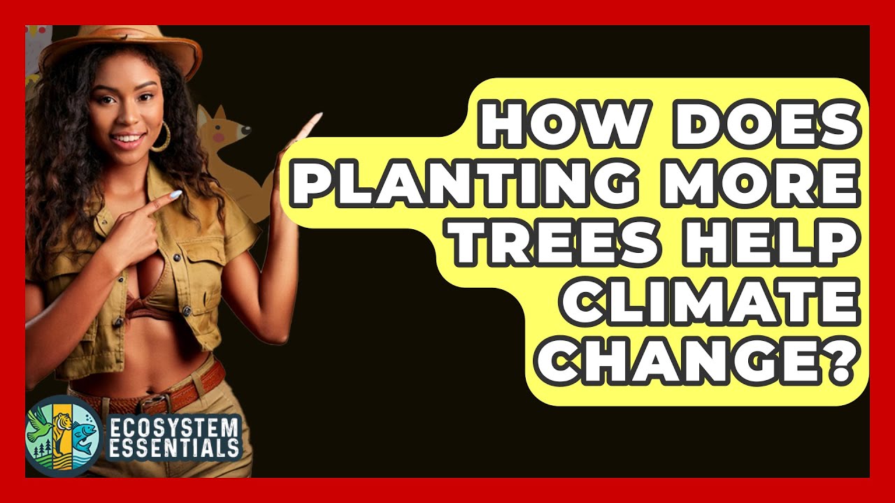 How Does Planting More Trees Help Climate Change? - Ecosystem Essentials