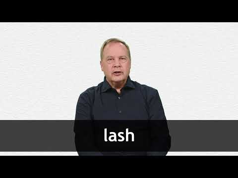 LASH definition and meaning | Collins English Dictionary