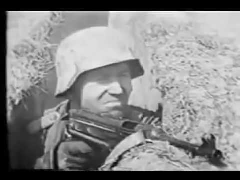 Rocking the Panzerknacker | laststandonzombieisland