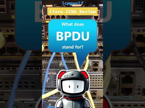 Cisco CCNA: What does BPDU stand for? - icmpwolf #BPDU #spanningtree
