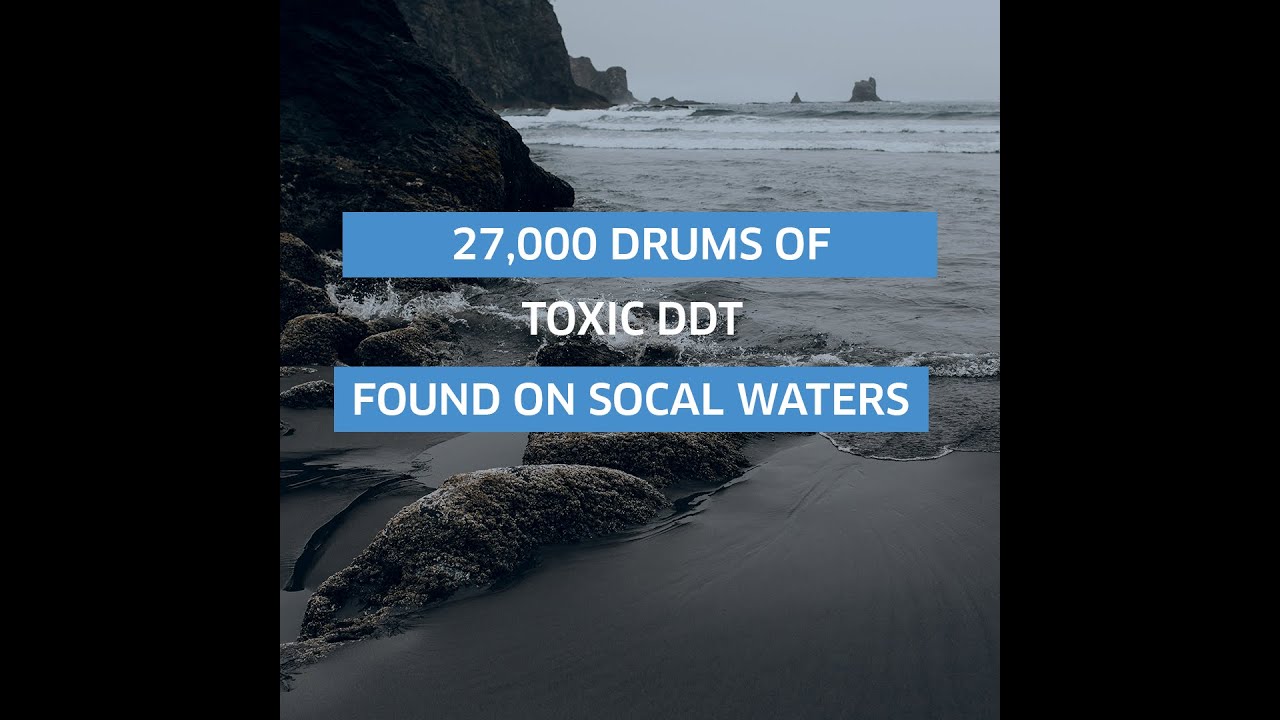 Massive DDT Dumping Site Found - Are You Safe?