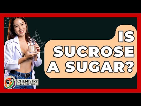 Is Sucrose A Sugar? - Chemistry For Everyone