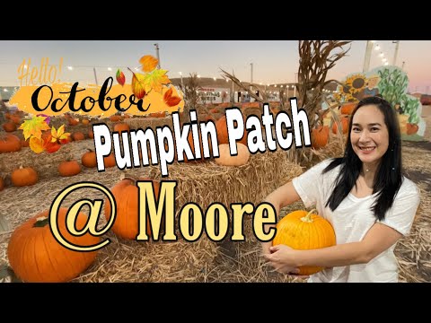 Pumpkin Patch @ Moore ( Livermore)