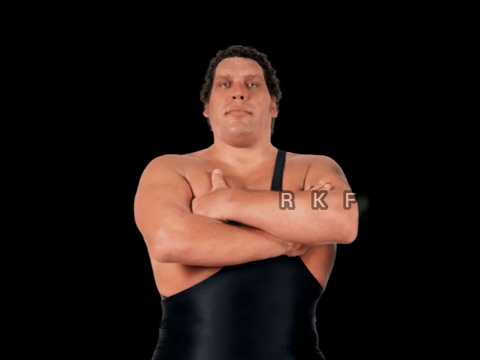 Andre the Giant Transformation ( 1946-1993 ) #wwe #wrestling #andrethegiant #giant #wwf #shorts #usa