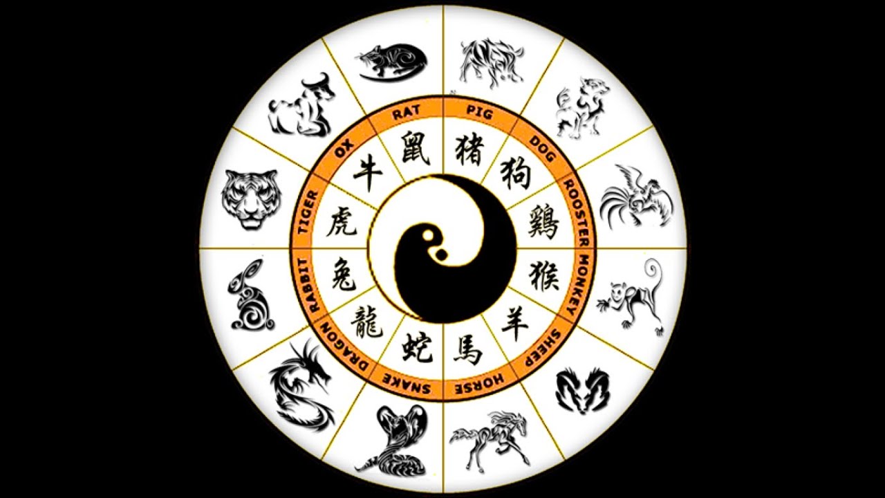Chinese Astrology Viewer Case Study