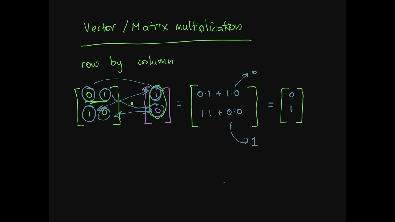 Introduction to Matrices | Math Module (Video 2) | Quantum Computing Course