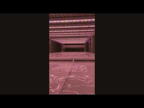 This is What Hydroponics Sounds Like