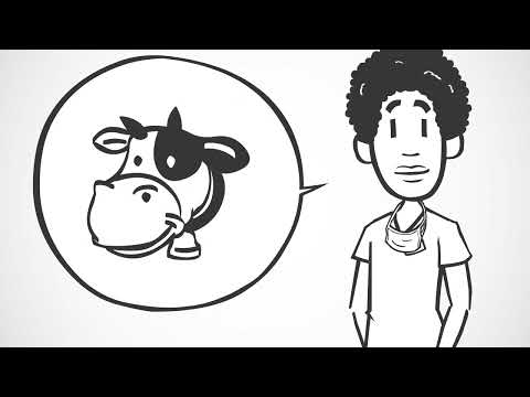 Vet Tech 101: What It Means to Be a Certified Veterinary Technician