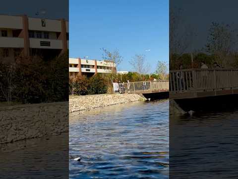 Inside University of Sulaimani | 2022 #shorts