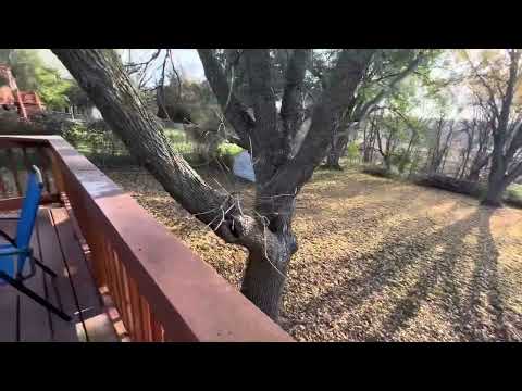 Join me on this 3 beds 2 baths 2 car garage Maple Grove Home Tour!