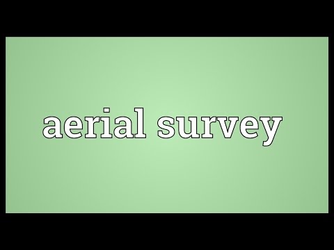 Aerial survey Meaning
