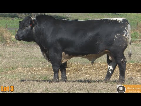 LOT 3 MINNAMURRA PRIME P223