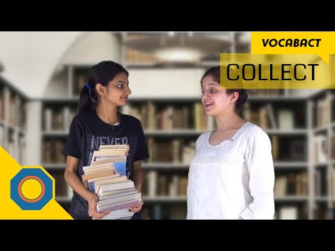 Collect Meaning | VocbAct | NutSpace