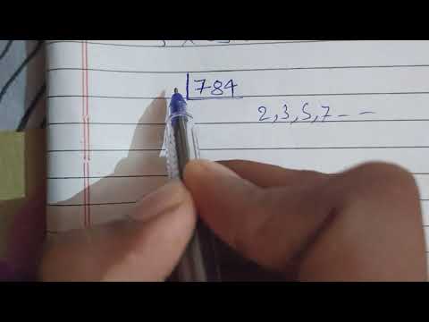 prime factors of 784