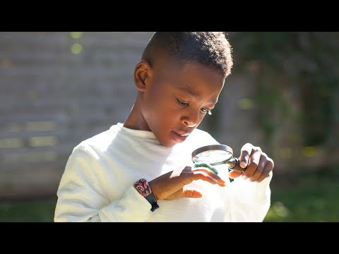 Prodigy - Their learning never stops (60s)