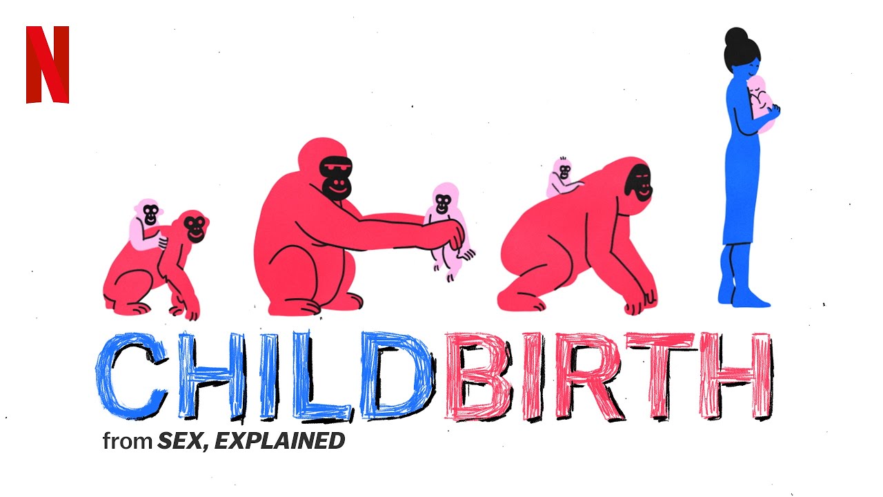 Understanding Childbirth: The Science, History, and Experience | Galaxy.ai