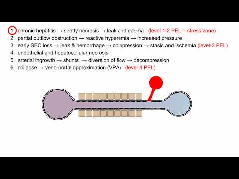 Video collection – Ian R. Wanless