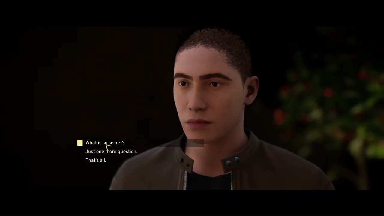 Highway Patrol Simulator: Smiley Mission