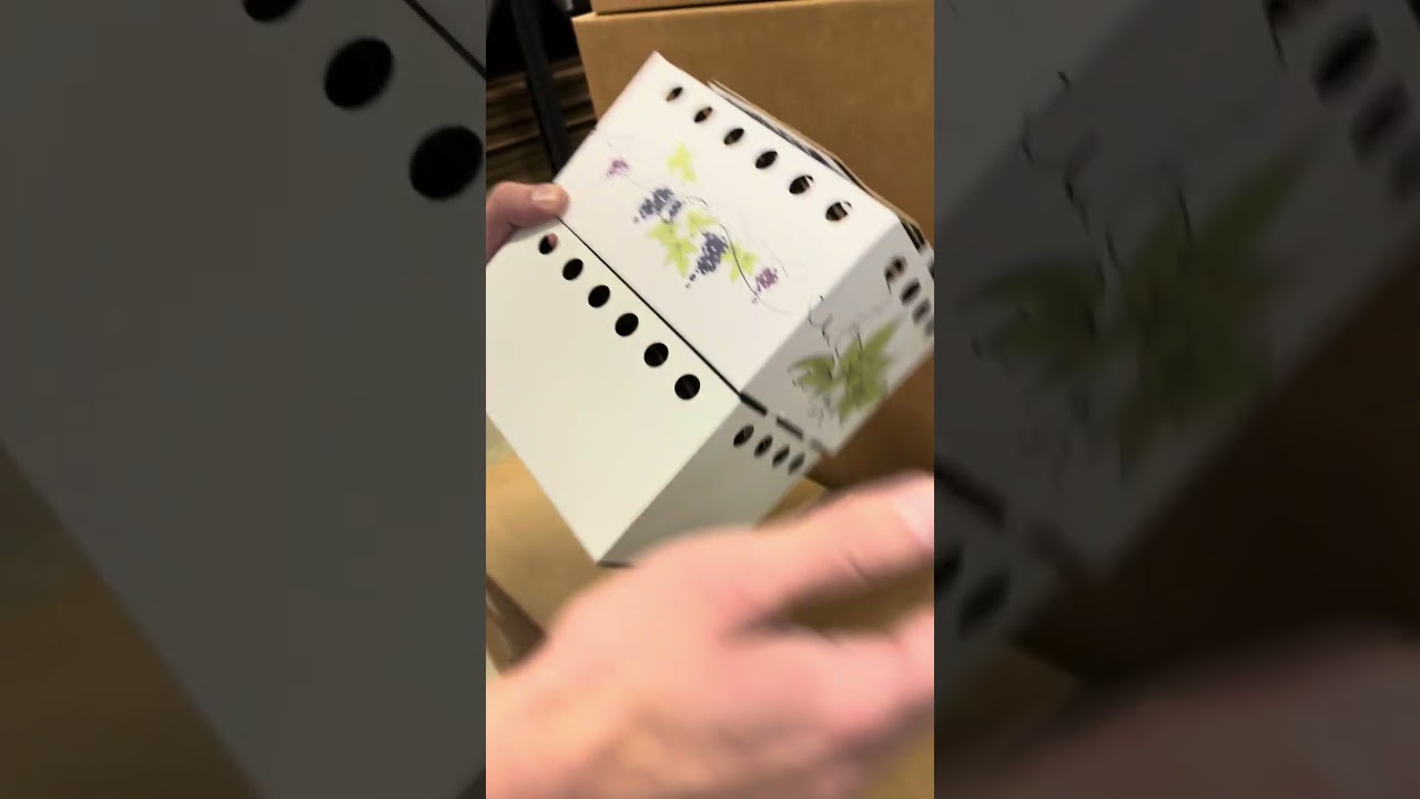 Grape Packaging