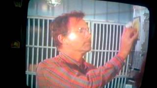 Opening to Happily Ever After 1993 VHS