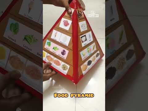 #Food #Pyramid #Model #school #project pyramid chart #shorts #youtubeshorts #viralvideo #papercrafts