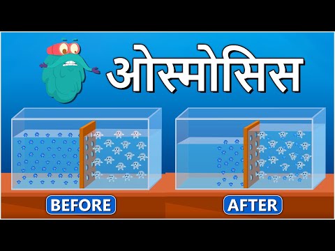 рдУрд╕реНрдореЛрд╕рд┐рд╕ | рдкрд░рд╛рд╕рд░рдг | What Is Osmosis In Hindi | Dr.Binocs Show | Educational Videos For Kids
