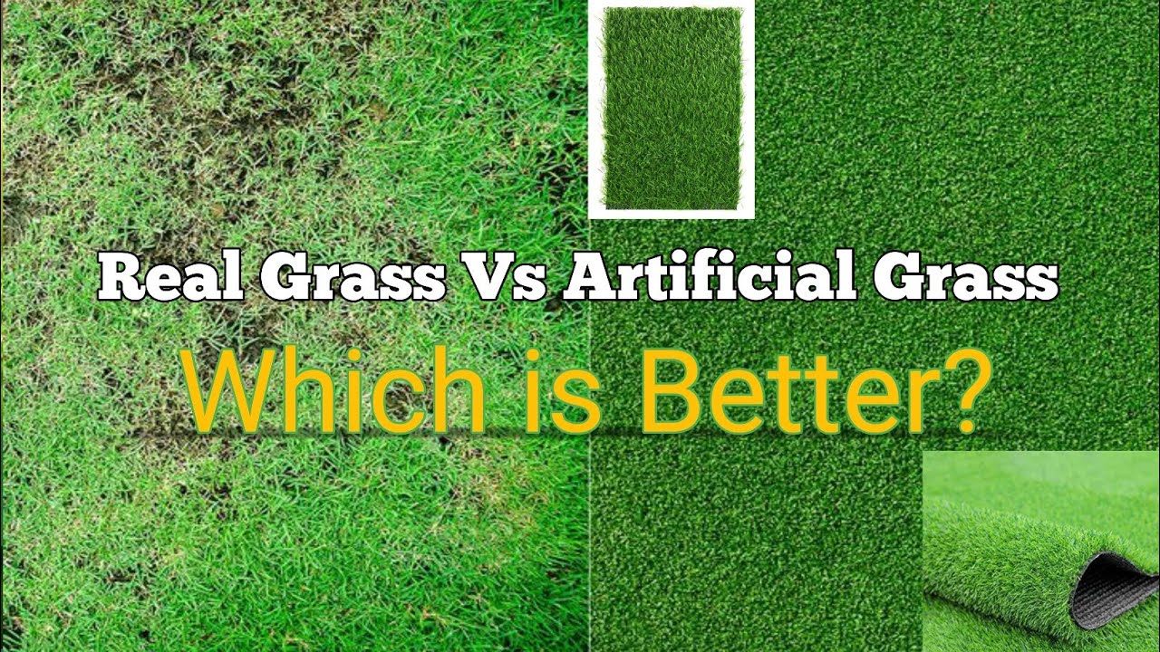 Artificial Grass vs  Real Grass: Which is Better?