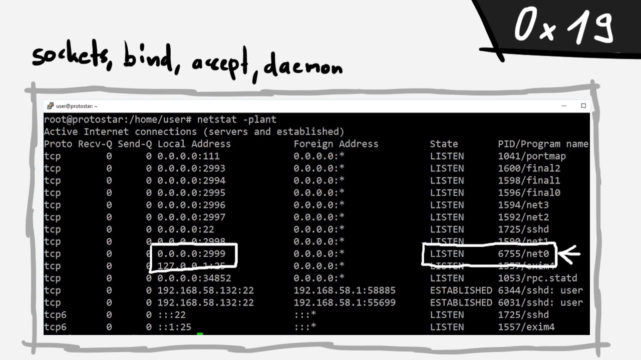 First steps into networking with net0 from exploit.education protostar - bin 0x19