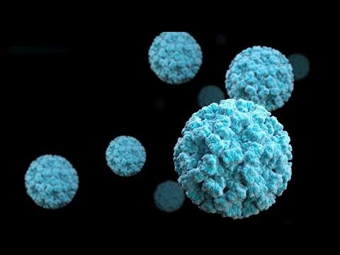Norovirus Stomach Bug: How Bad Is It This Year?