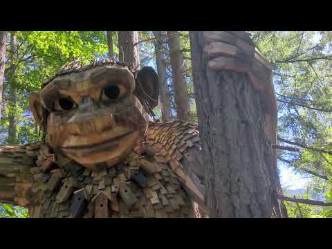 Troll Eyes