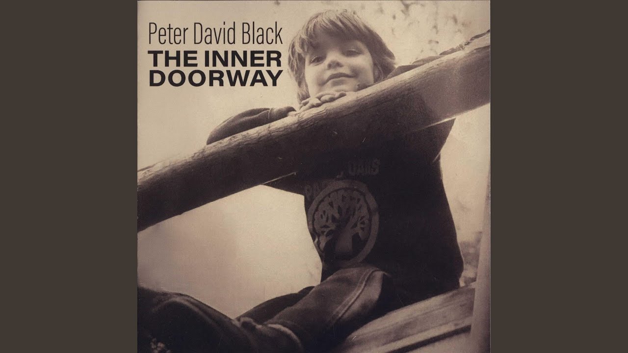 Fly by Peter David Black