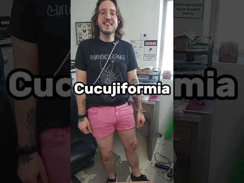 Kyle pronounces scientific bug names
