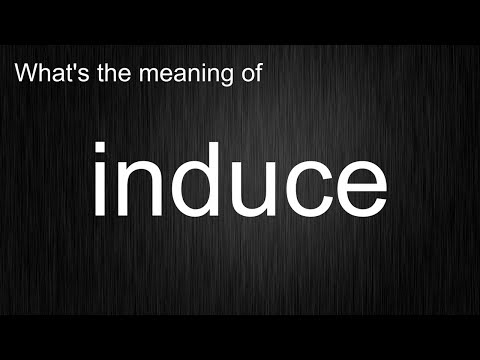 Unraveling the induce Pronunciation and Meaning Mystery! Comprehensive Word Teaching!
