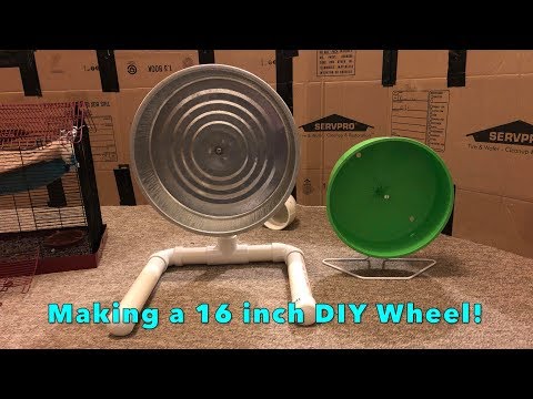 How I Made my 16 Inch DIY Rat Wheel