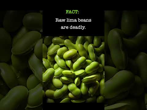 Fun Fact about Lima Beans