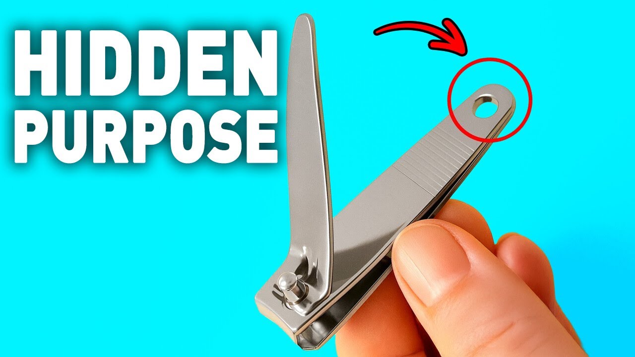 The Hidden Purpose of Everyday Items That Nobody Told You