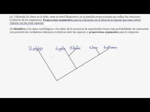 3a-b. Filogenia (video) | Khan Academy