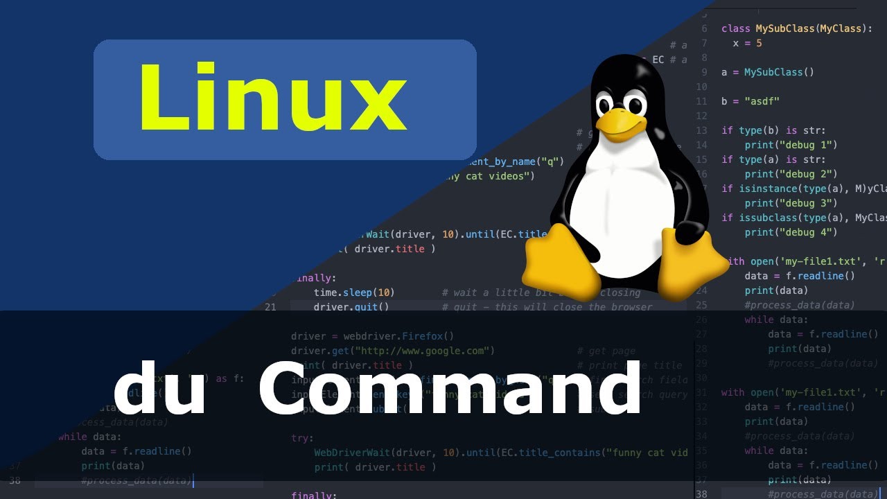 Linux Command - du