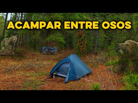 ACAMPO SOLO en los BOSQUES de Canadá ENTRE OSOS 🐻 | Viajar en bicicleta por América #2